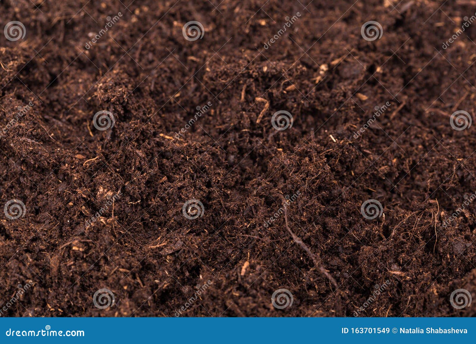 Patch of Soil or Mud on White Background Stock Image - Image of humus ...