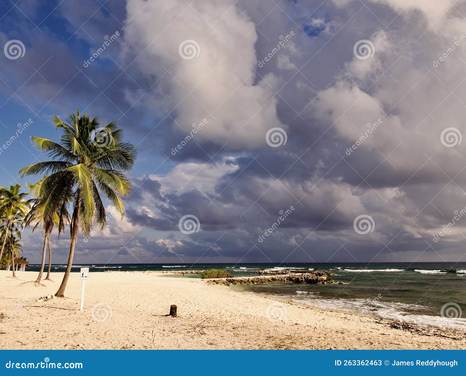 2,880 Cinematic Beach Stock Photos - Free & Royalty-Free Stock Photos ...
