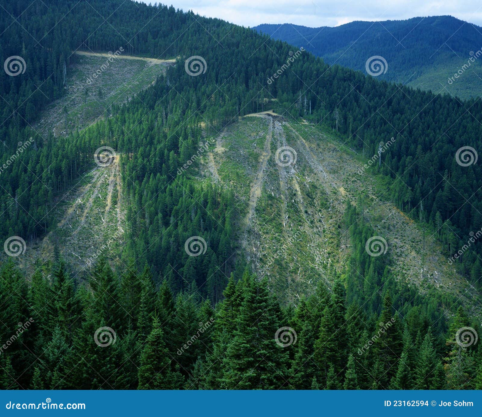 Patches of Clear-cut Mountain Stock Photo - Image of forest, nature ...