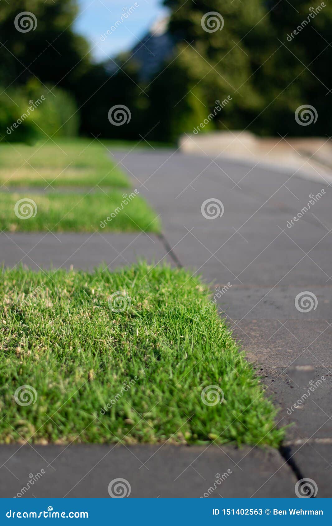 Patches of Grass on the Sidewalk Stock Image - Image of patches ...