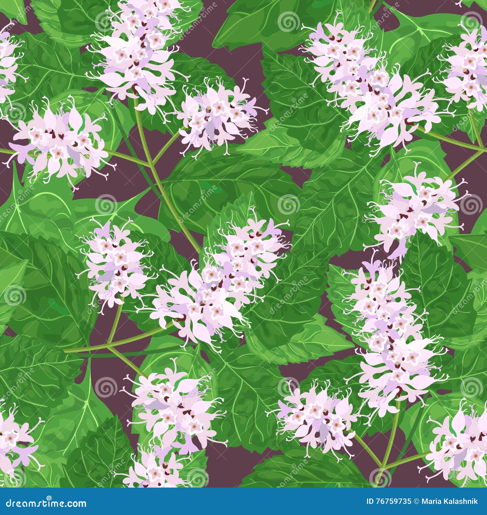 Patchouli Seamless Pattern. Stock Vector - Illustration of branch ...