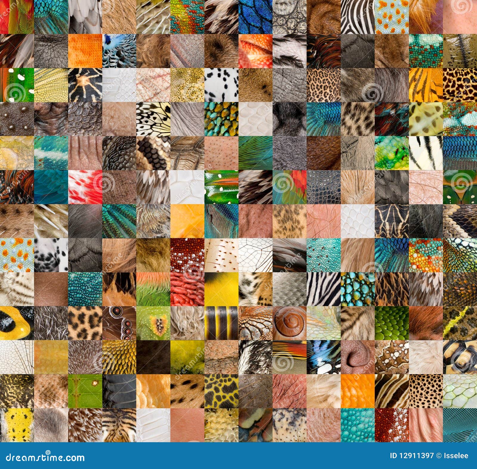 Patchwork of 196 skins stock image. Image of animals - 12911397