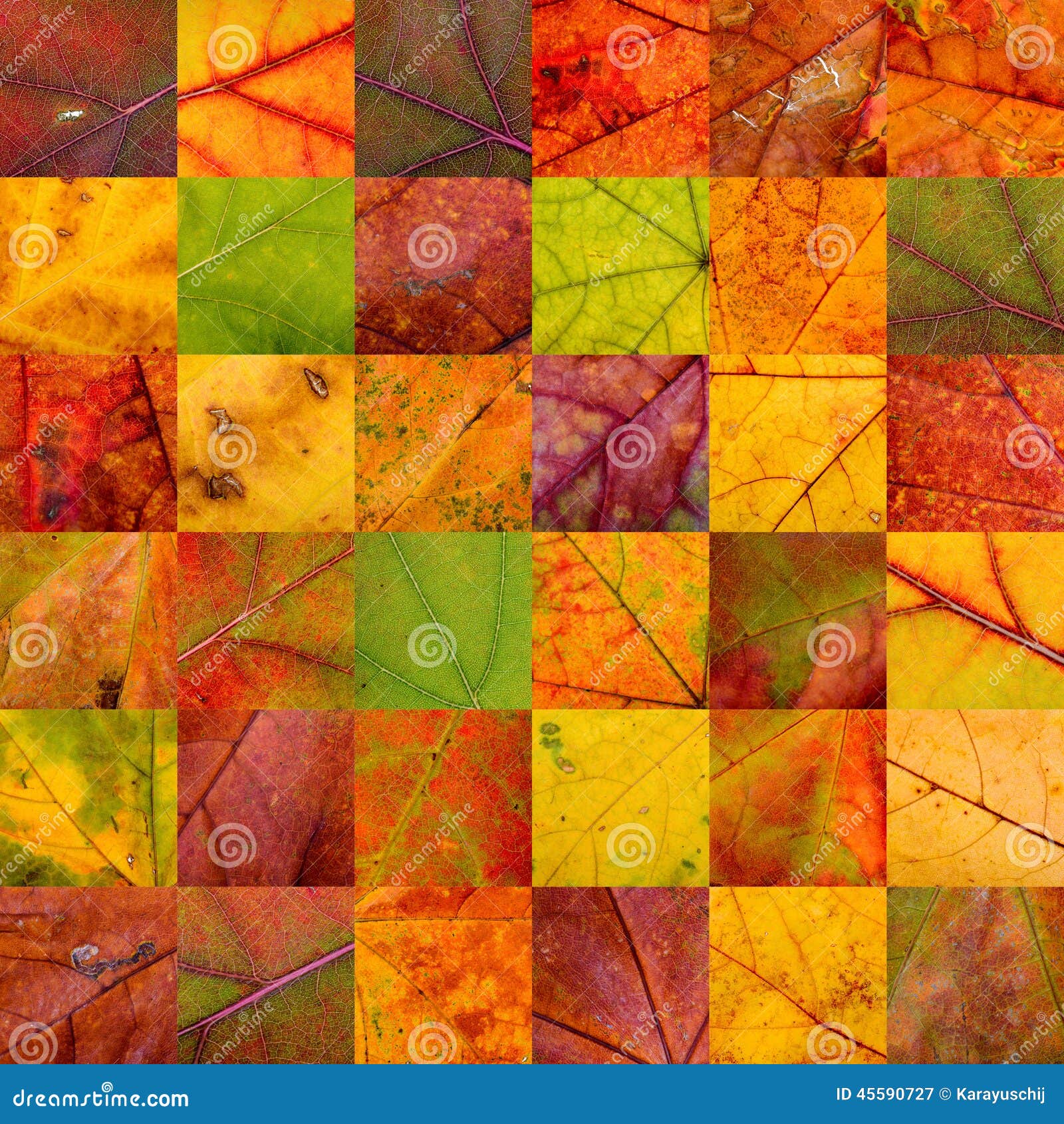 Patchwork of Autumn Leaves stock image. Image of golden - 45590727