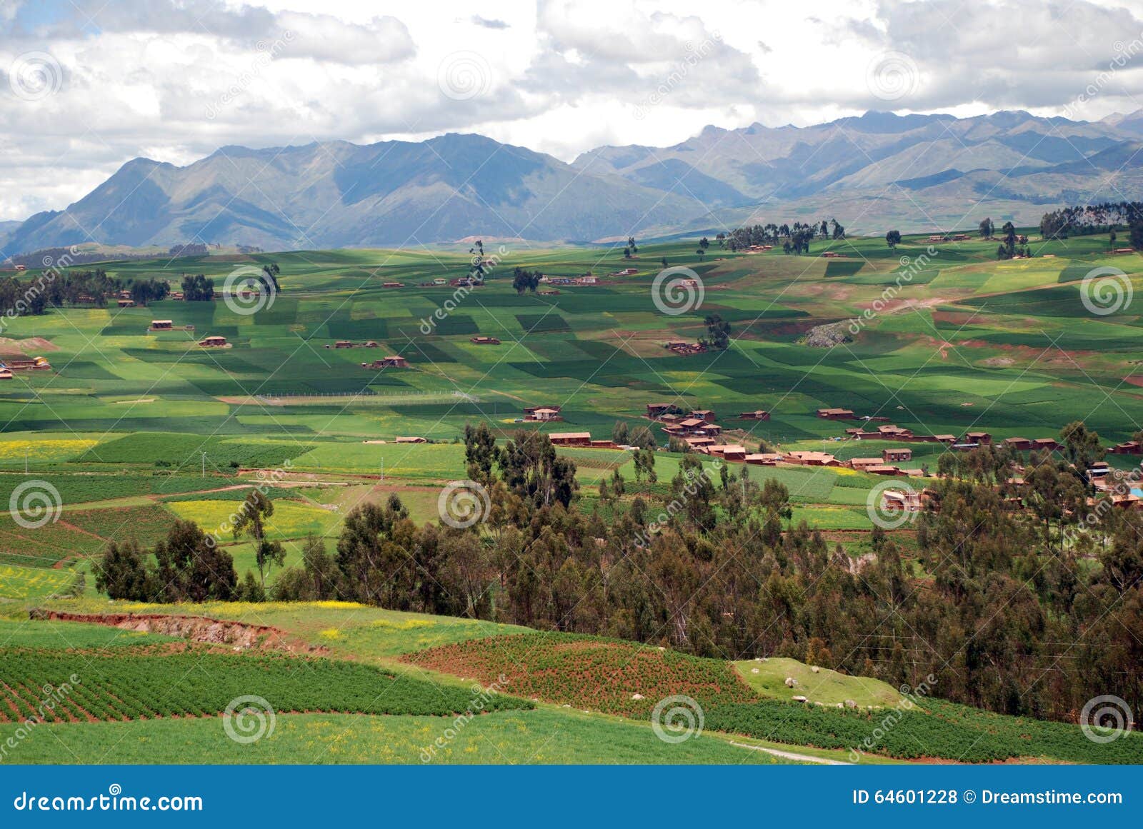 Patchwork farm fields stock photo. Image of community - 64601228