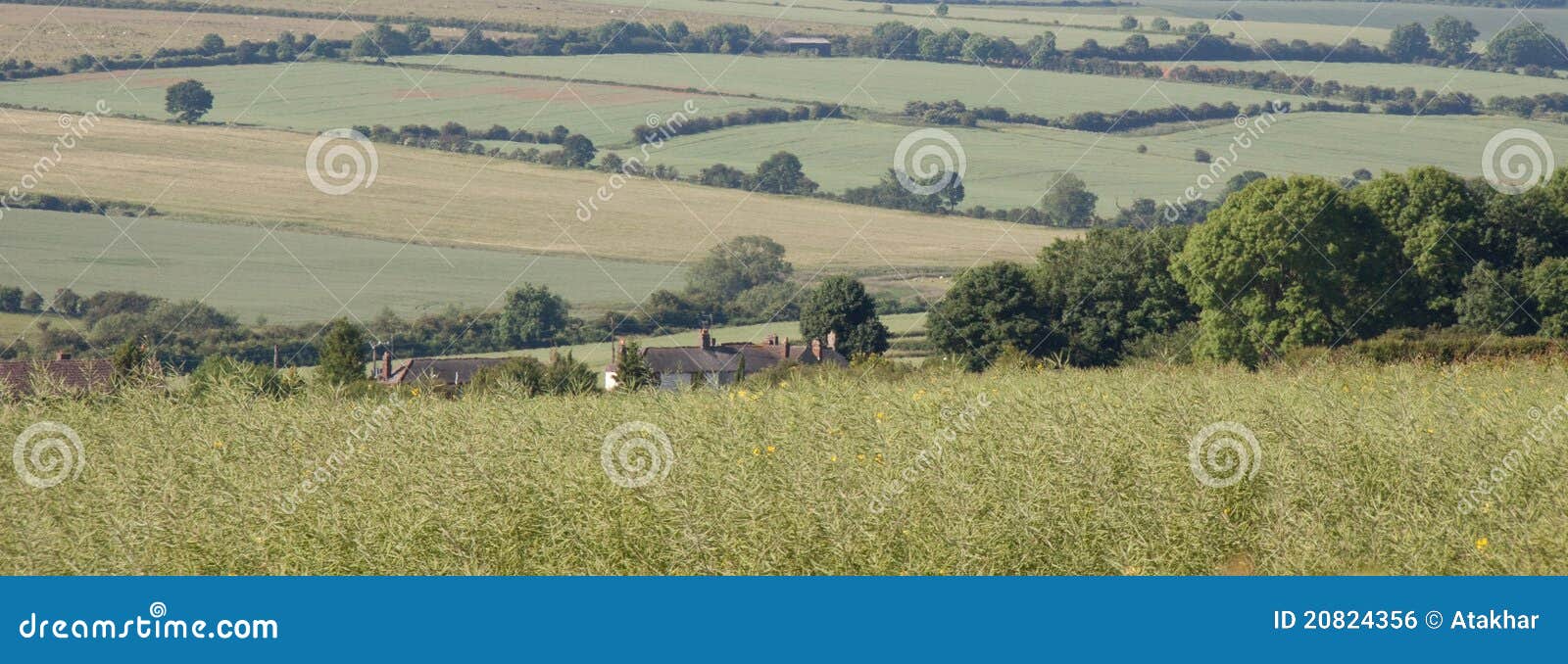 Patchwork fields stock photo. Image of farm, english - 20824356