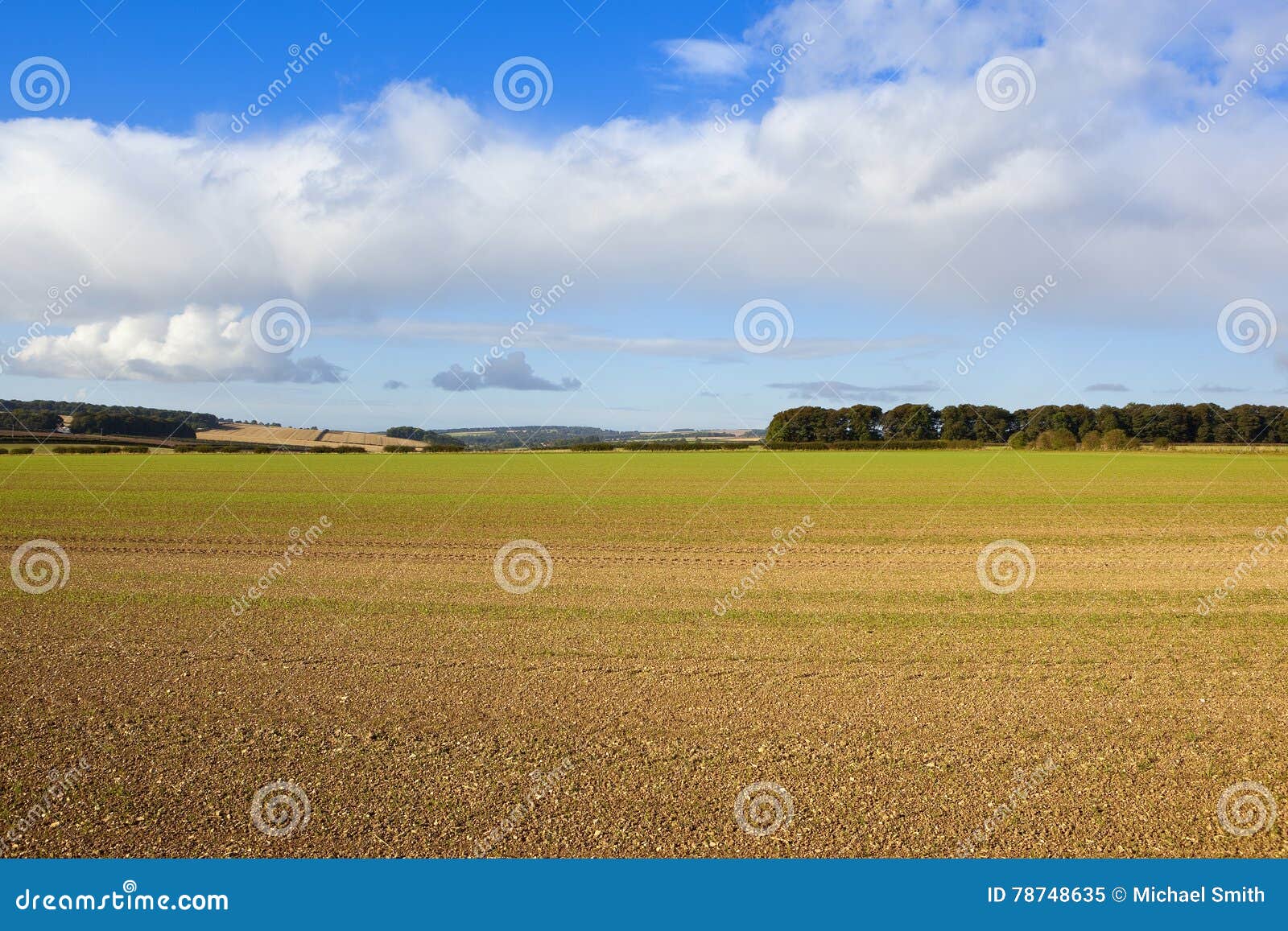 Patchwork fields in autumn stock image. Image of farming - 78748635