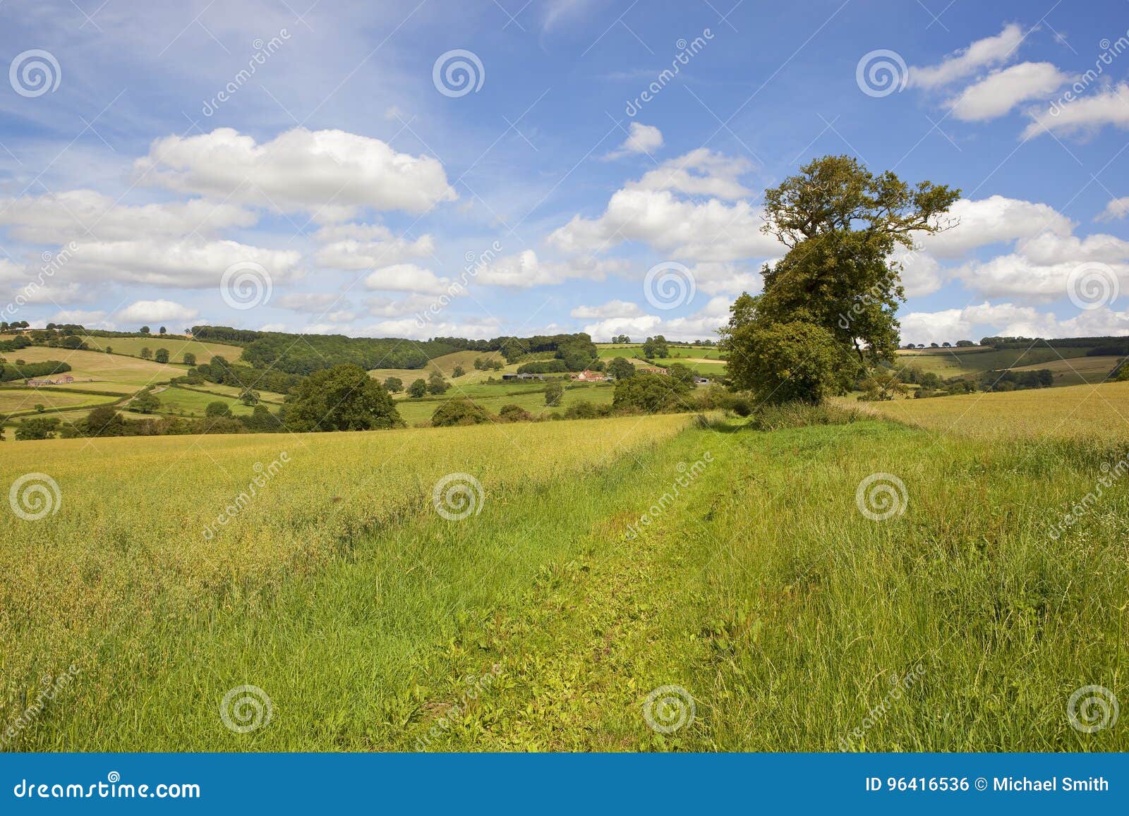 Patchwork Fields of the Yorkshire Wolds in Summertime Stock Photo ...
