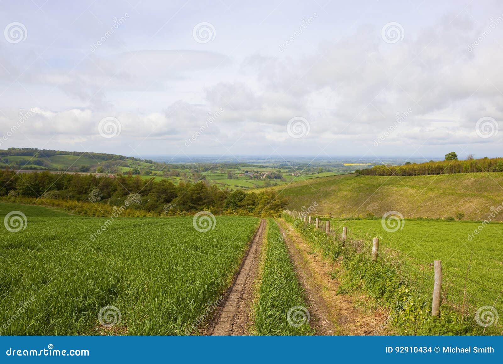 Patchwork Fields in the Yorkshire Wolds Stock Photo - Image of wheat ...