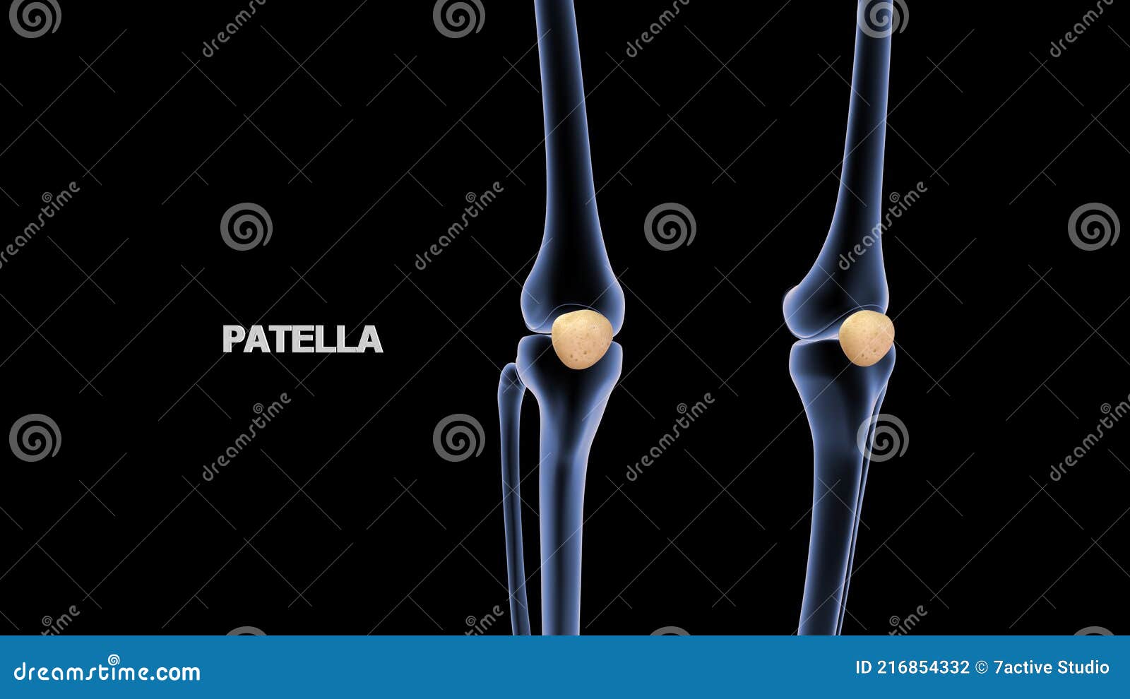 Articulates Cartoons, Illustrations & Vector Stock Images - 248 ...