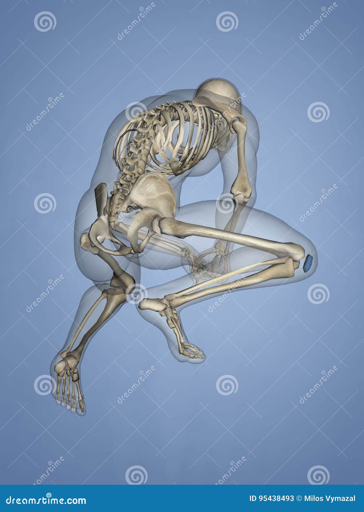 Patella, 3D Model stock illustration. Illustration of medical - 95438493