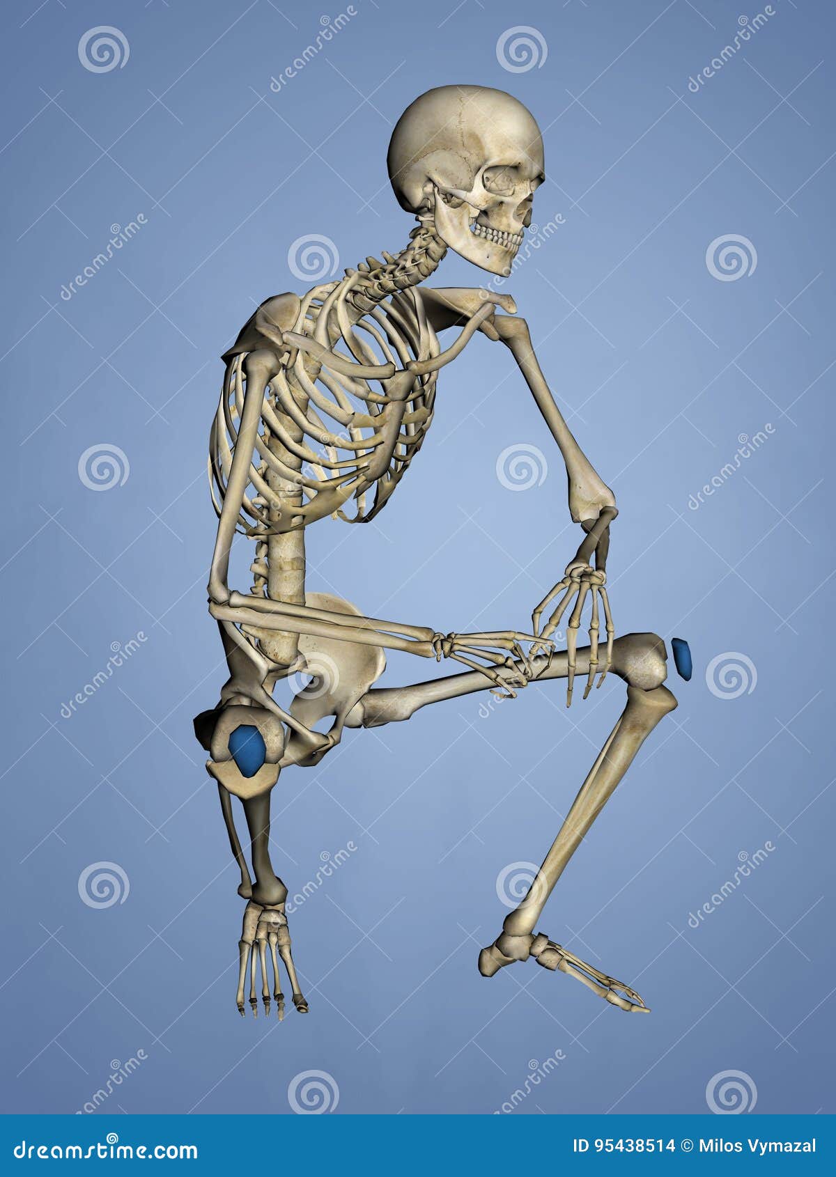 Patella, 3D Model stock illustration. Illustration of kneecap - 95438514