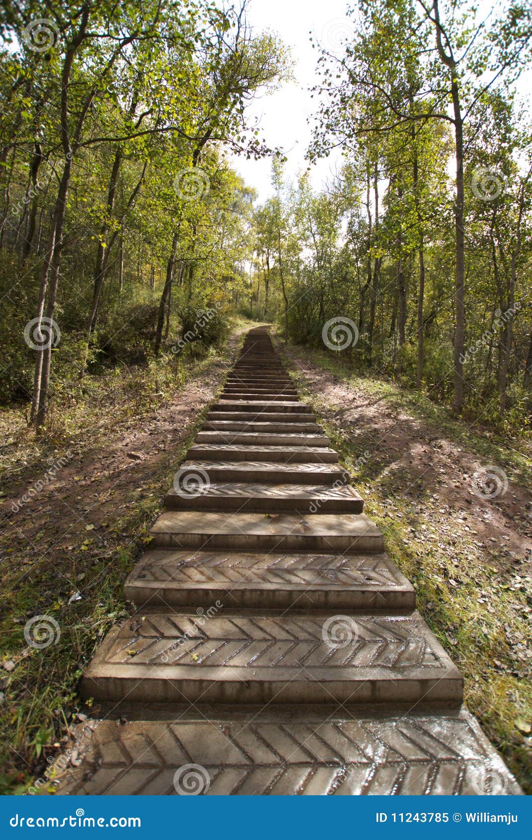 Path stock image. Image of climb, nature, step, path - 11243785