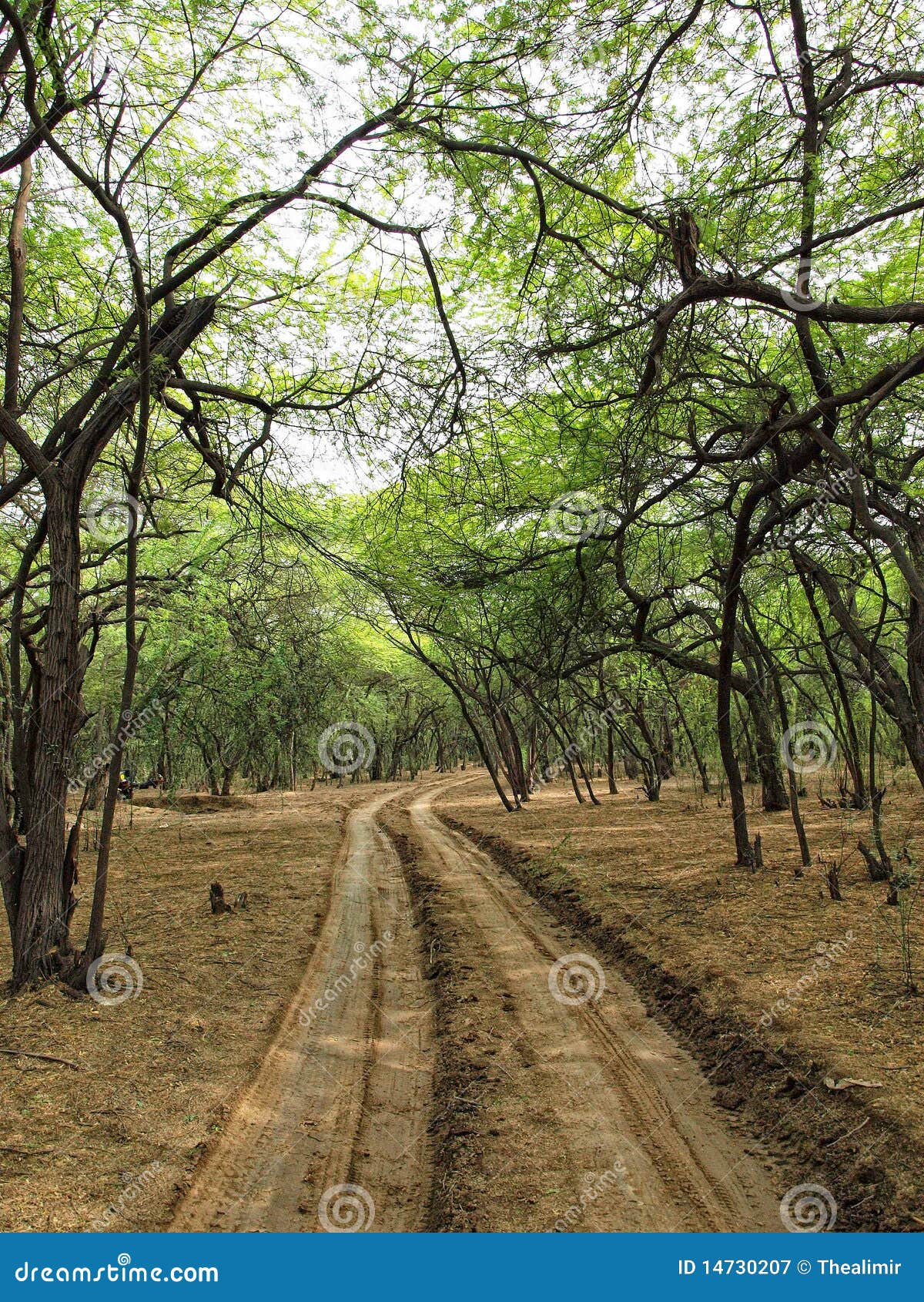 The Path stock image. Image of show, rough, direction - 14730207