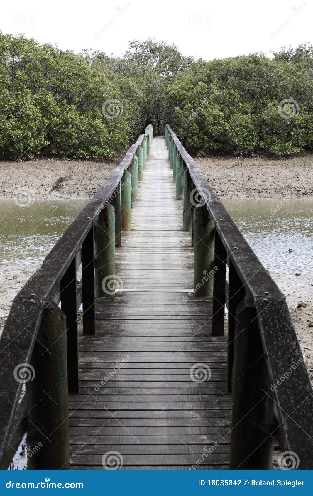 Path stock photo. Image of adventure, path, travel, trail - 18035842