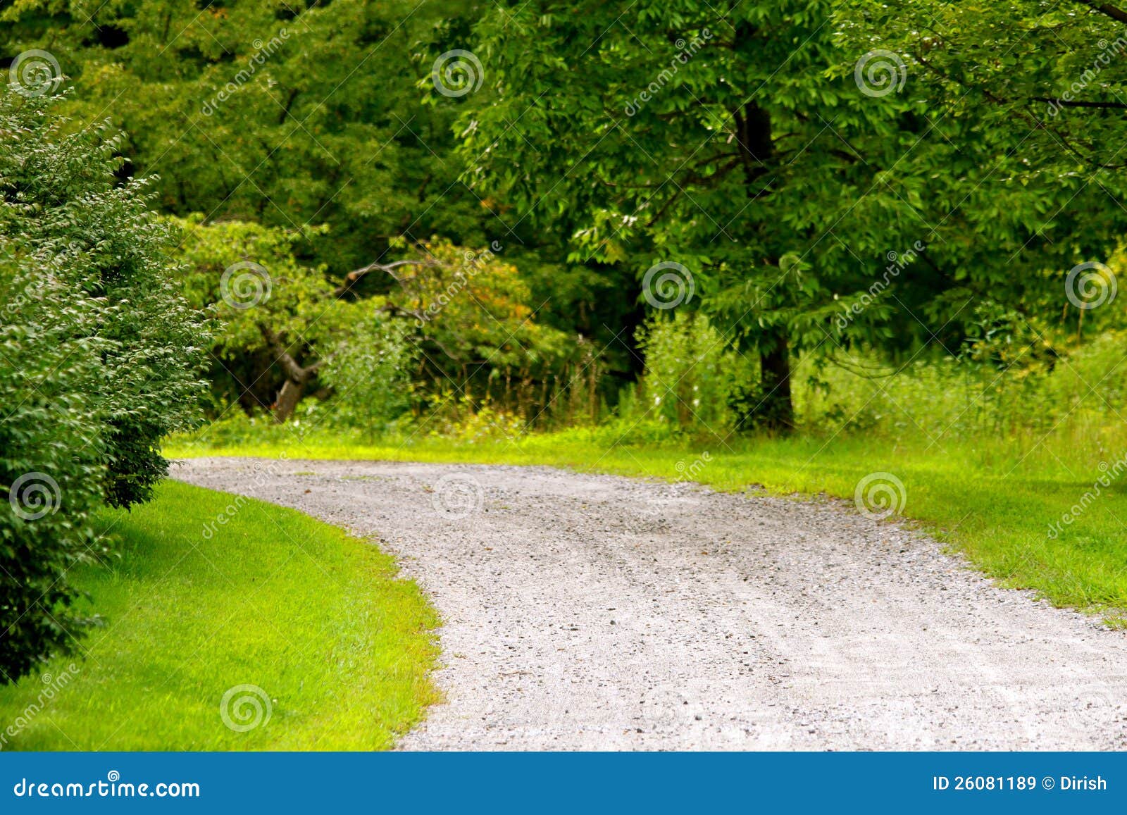 Path stock image. Image of curved, path, woods, stone - 26081189