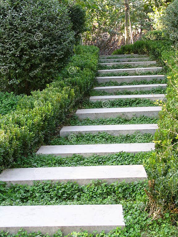 Path stock image. Image of vista, passageway, stairs, trees - 539753