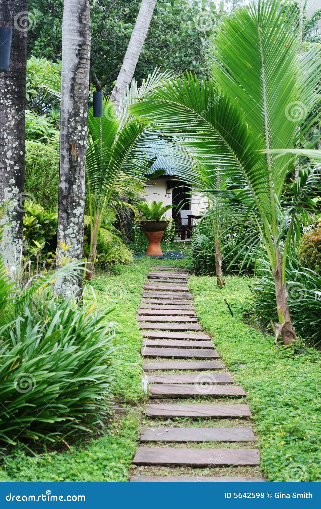 Path stock photo. Image of tropical, walkway, gorgeous - 5642598