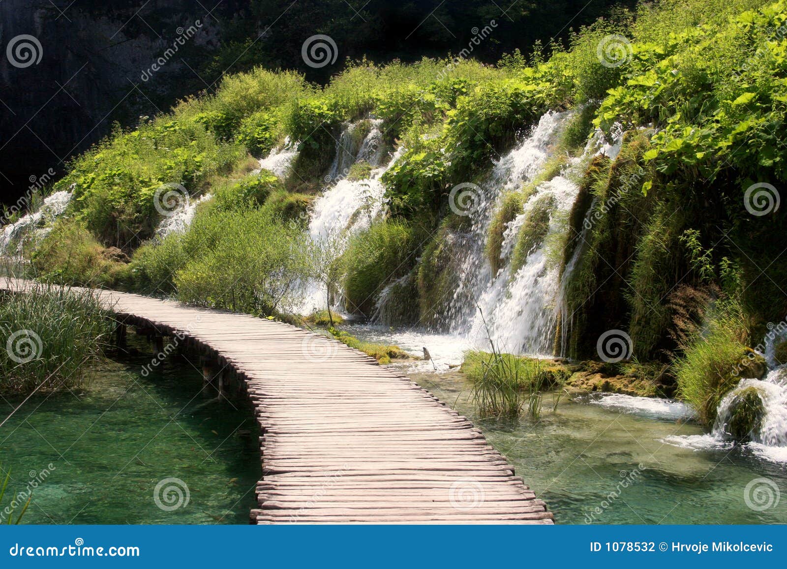 Path above water stock photo. Image of green, leading - 1078532
