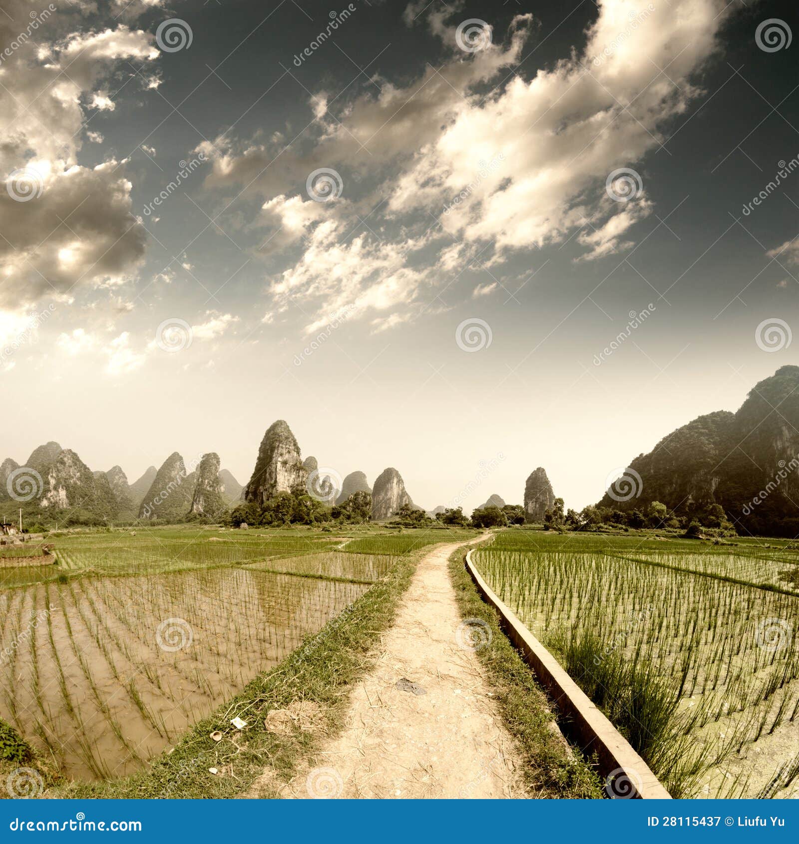 Path across the fields stock image. Image of raft, nature - 28115437