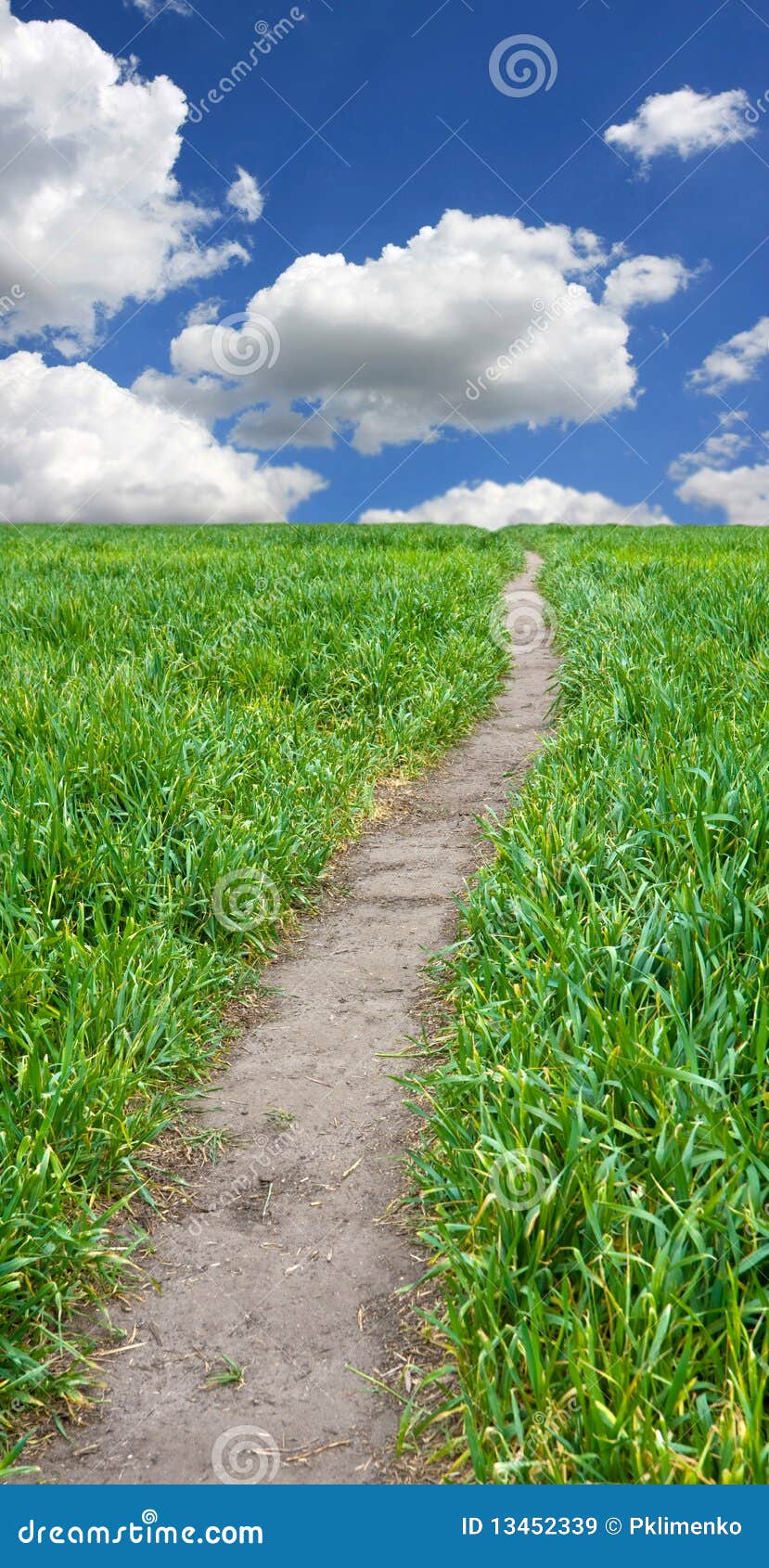 Path Across Green Field Royalty Free Stock Images - Image: 13452339