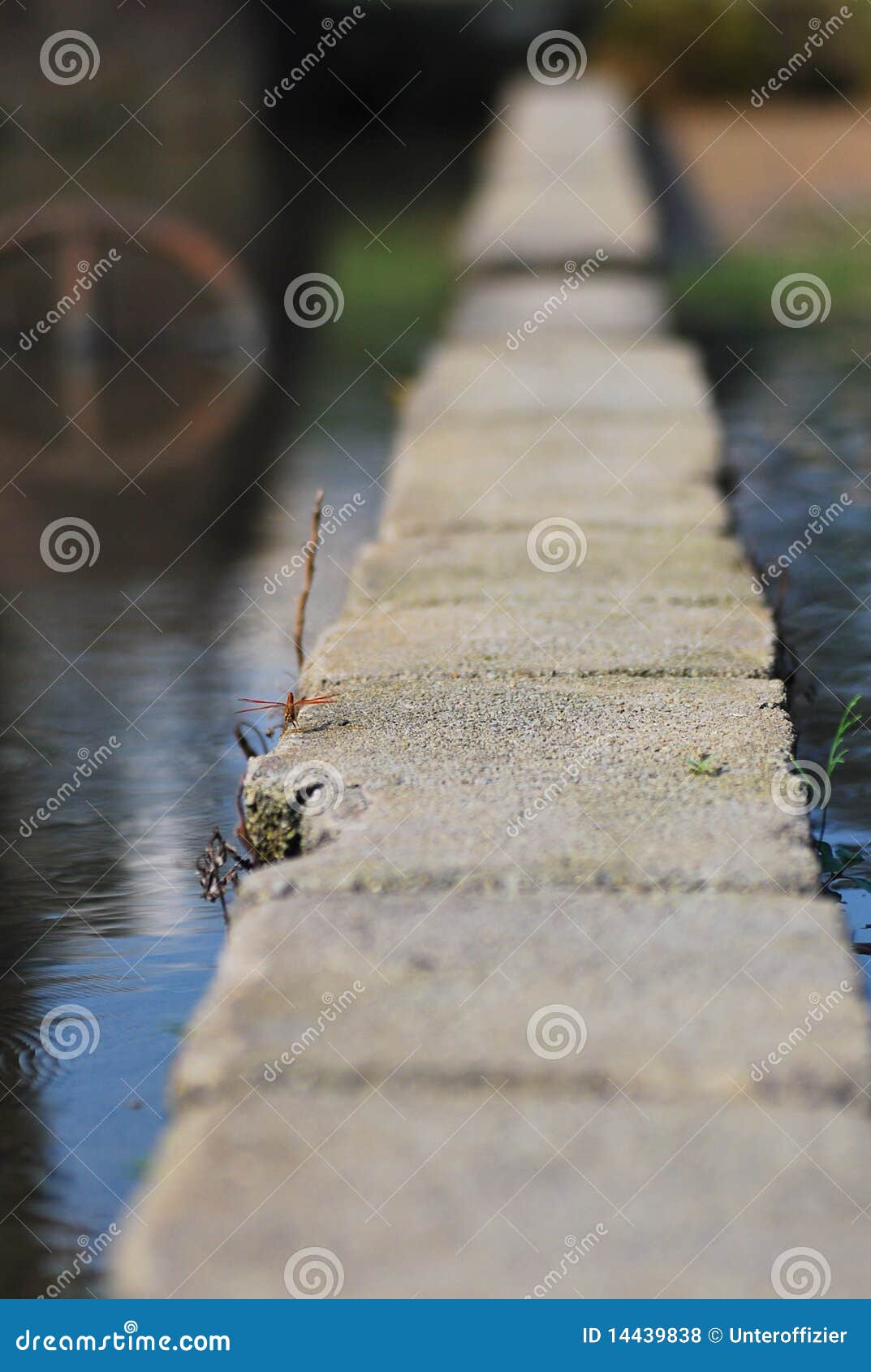Path Across the Water stock photo. Image of width, nature - 14439838