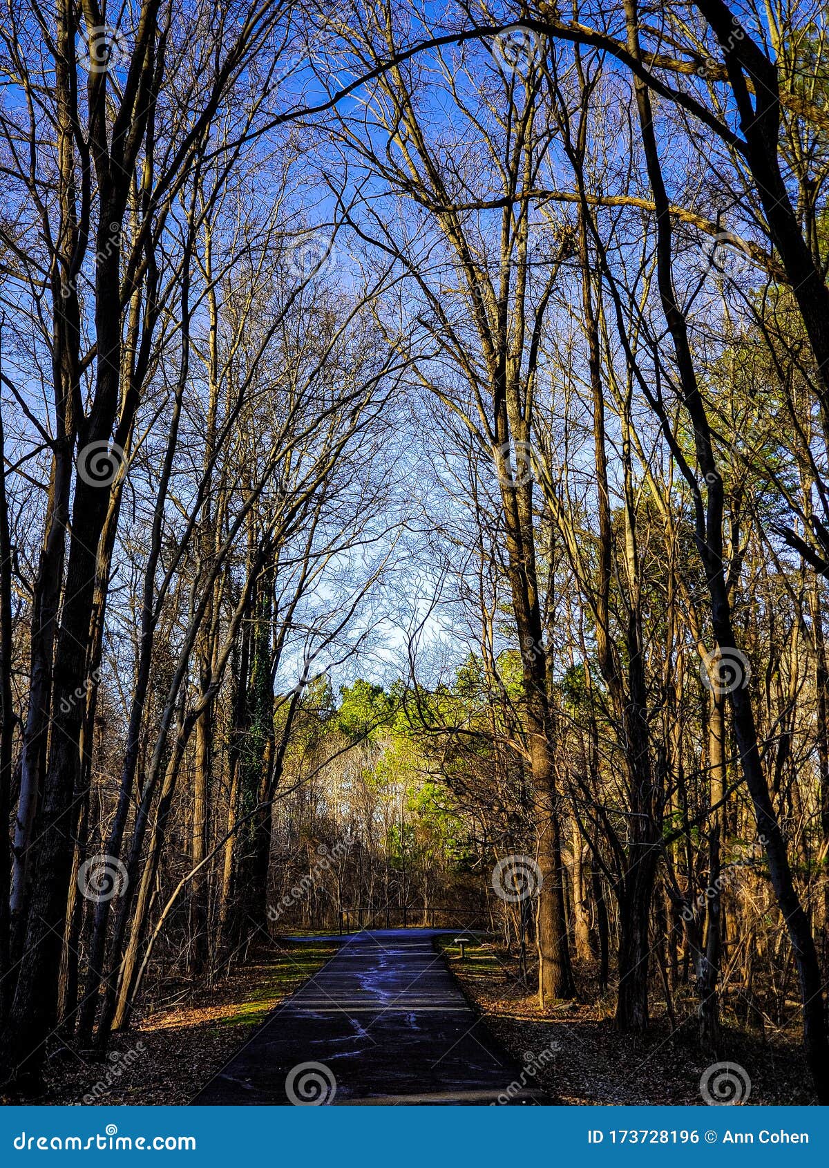 Path of adventure stock photo. Image of path, possibilities - 173728196