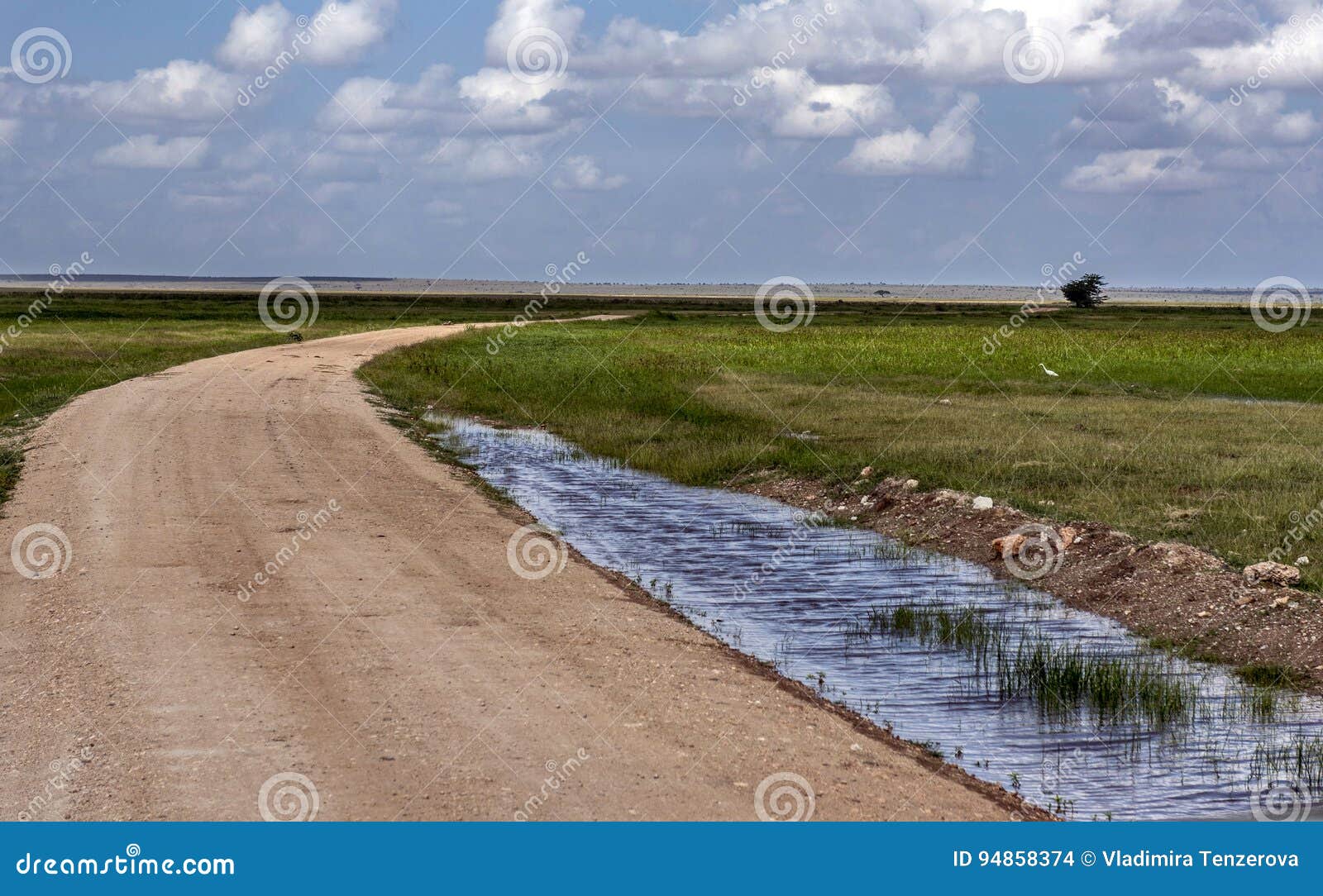 The Path through the African Savanna after the Rain Stock Photo - Image ...
