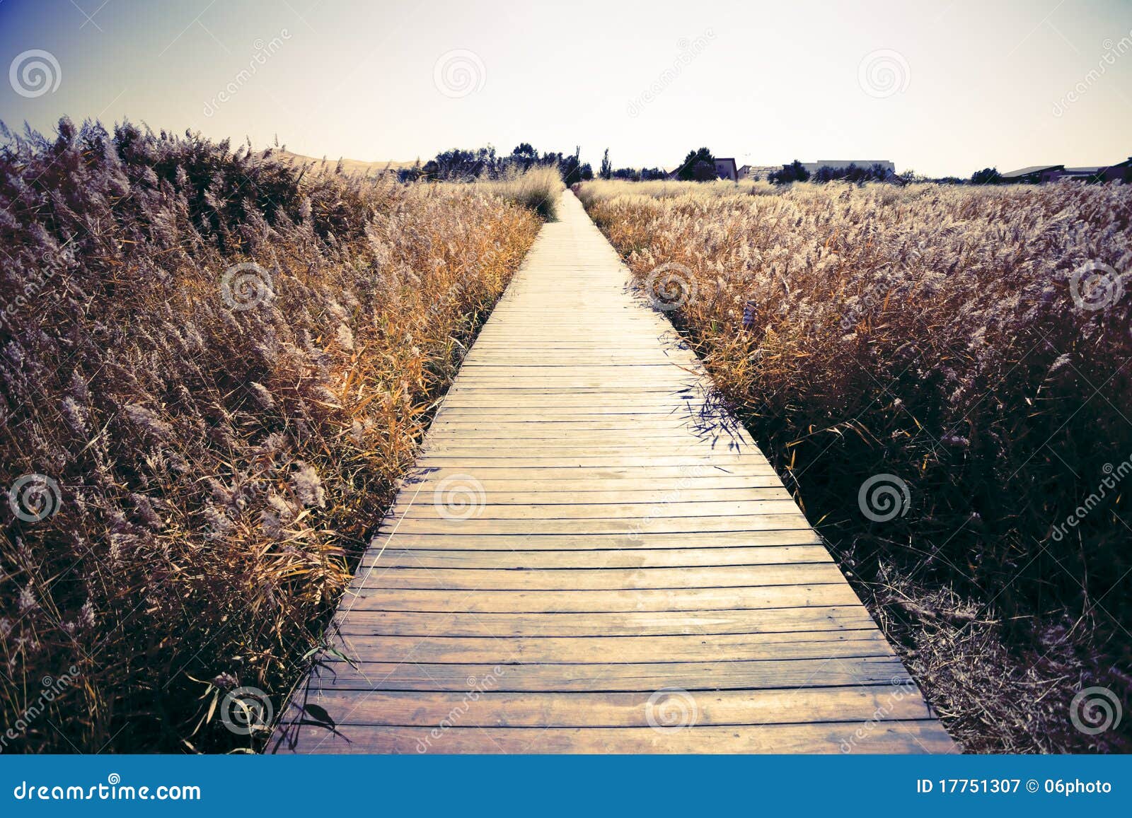 The Path Along the Cliff Reed Stock Image - Image of walkway, endless ...