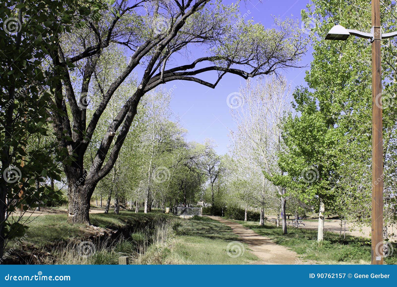 Path Along the Ditch stock image. Image of grass, white - 90762157