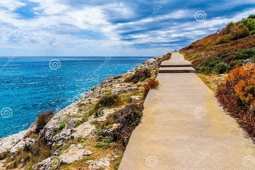 Path Along the Edge of a Cliff Next To the Ocean Stock Image - Image of ...