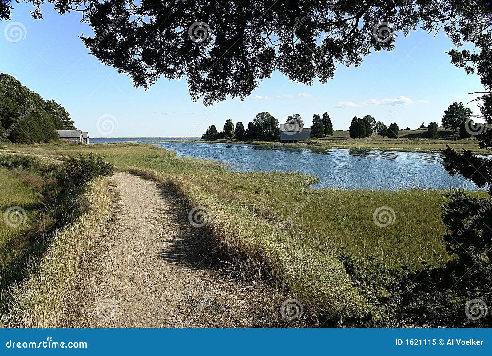 Path along ocean inlet stock image. Image of grass, saltwater - 1621115