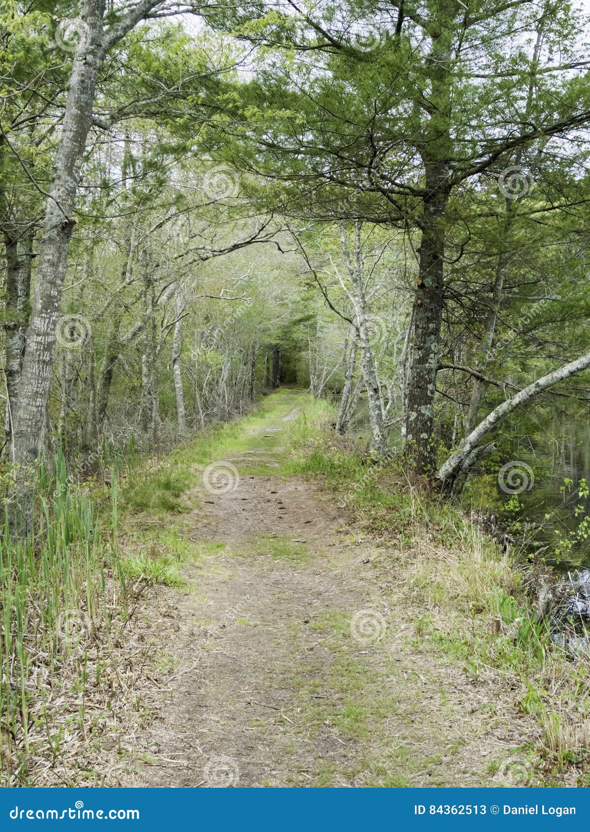Path Along Pond in Washburn Park Stock Image - Image of trees, pond ...