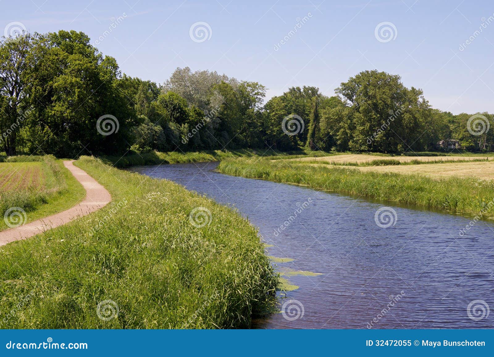 Path along the river stock image. Image of natural, green - 32472055