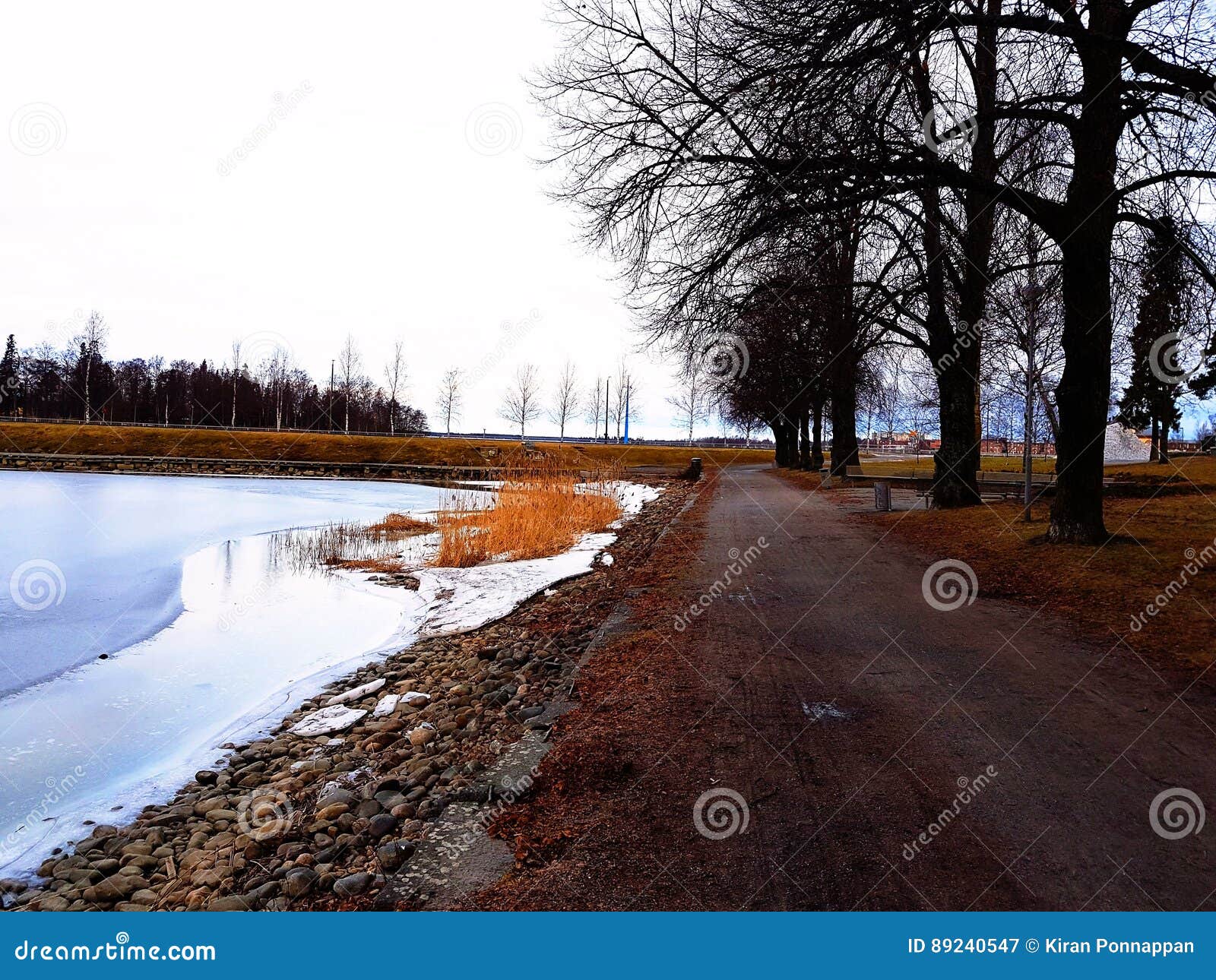 Path Along the River stock image. Image of frozen, walkway - 89240547