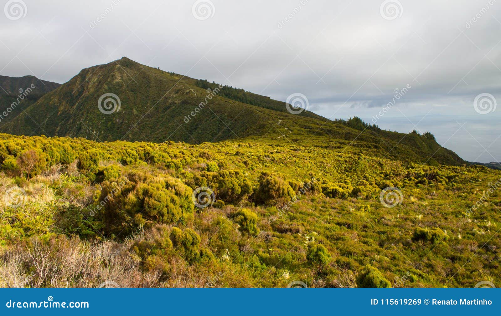 Path Along a Volcanic Hill stock image. Image of crater - 115619269