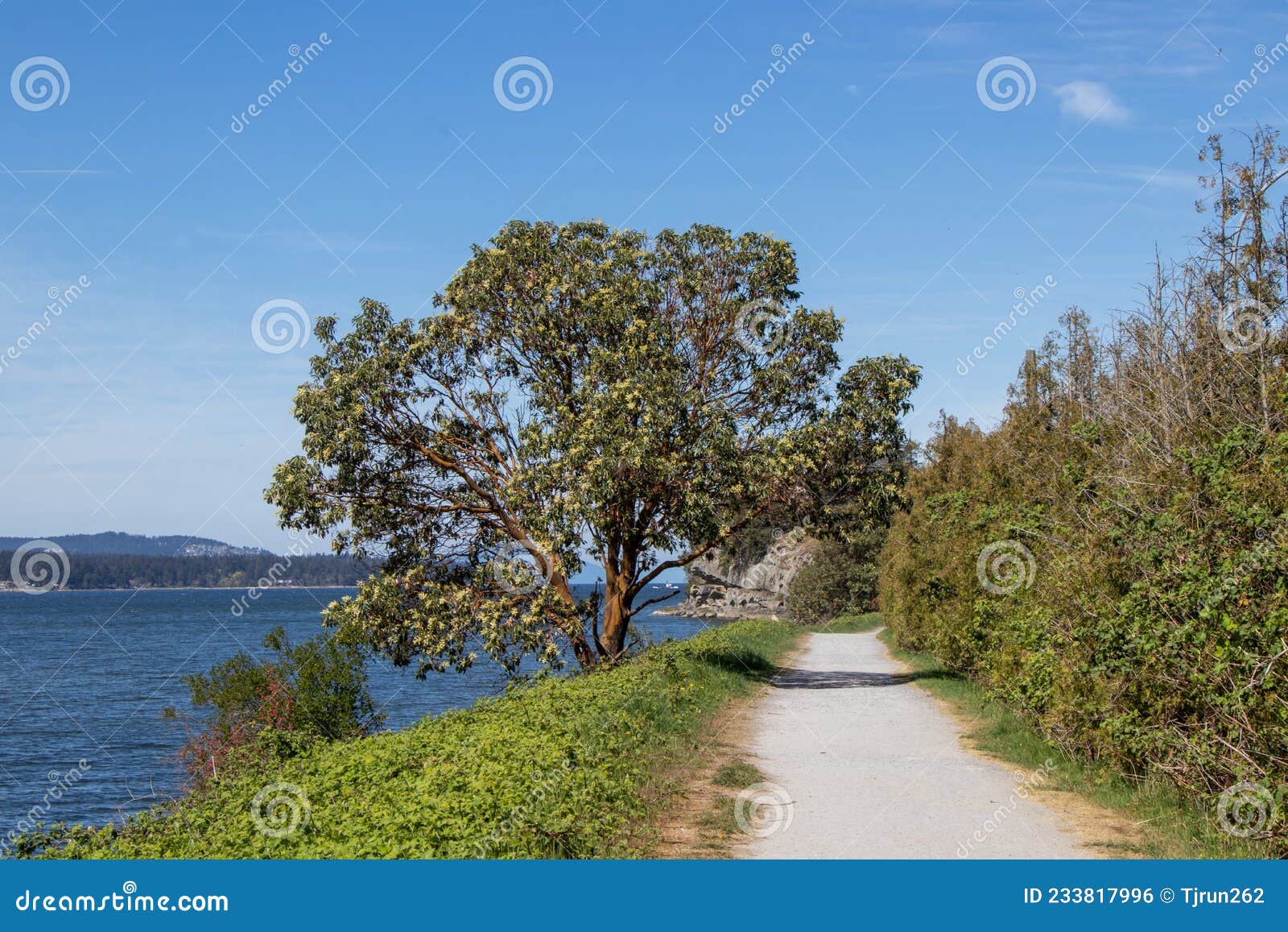 Path Along the Waterfront on a Spring Day Stock Photo - Image of ...