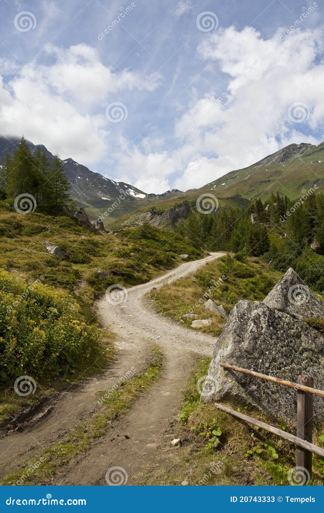 Path in the alps stock image. Image of fence, pine, trail - 20743333