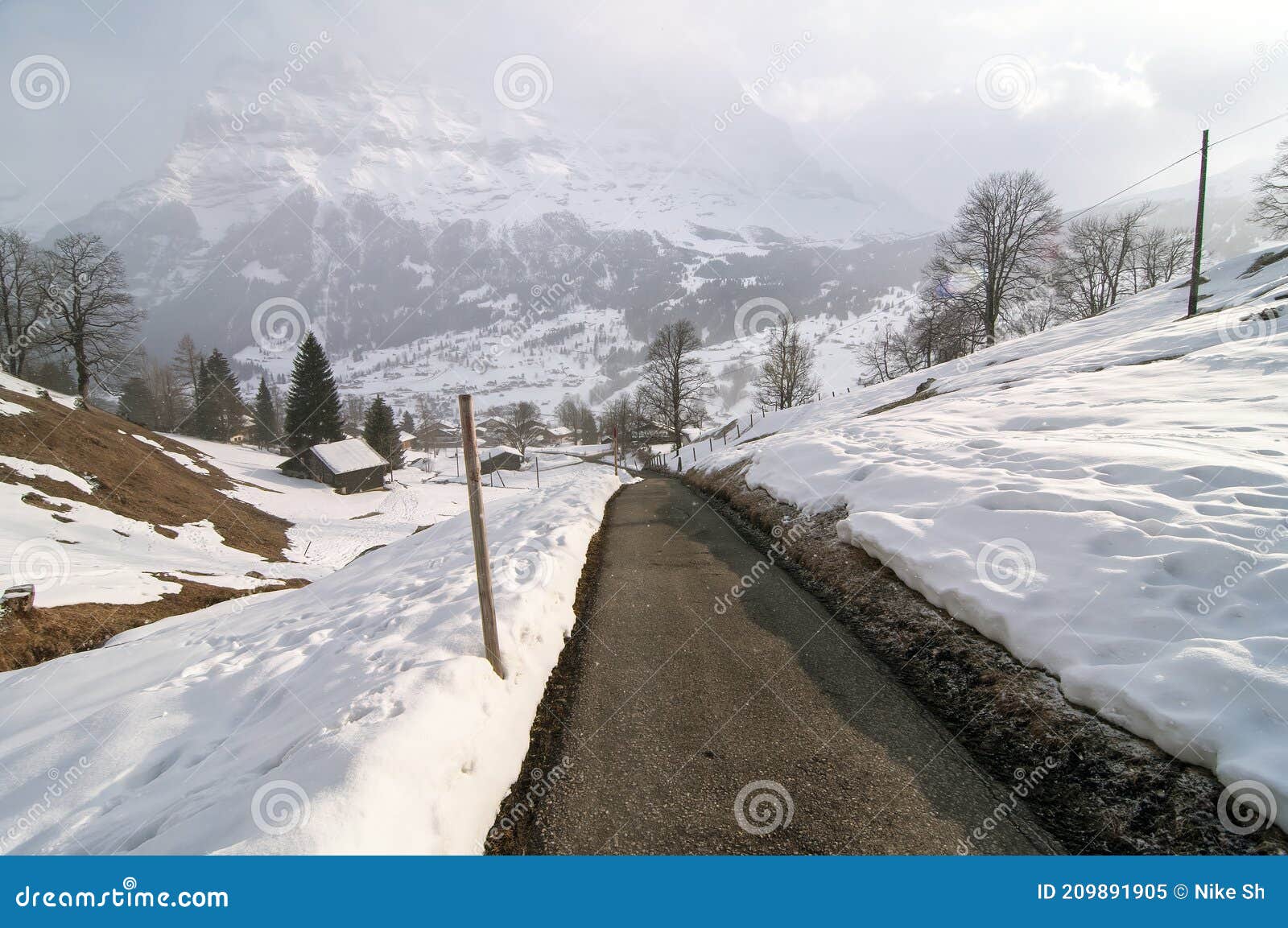 A path in the Alps stock image. Image of cold, blanket - 209891905