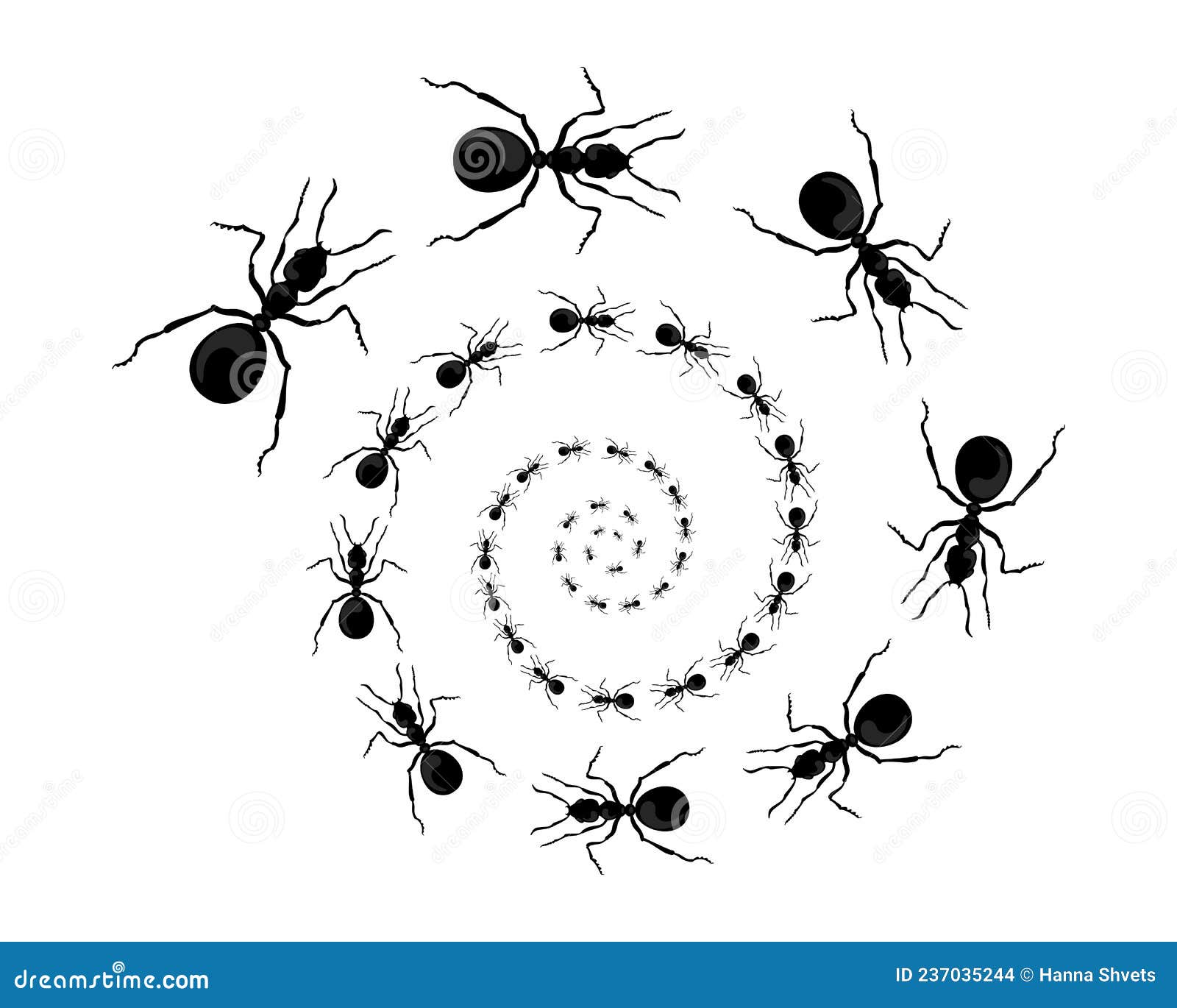 A Path Of Ants Running Up. View From Above. Vector Illustration In Flat ...