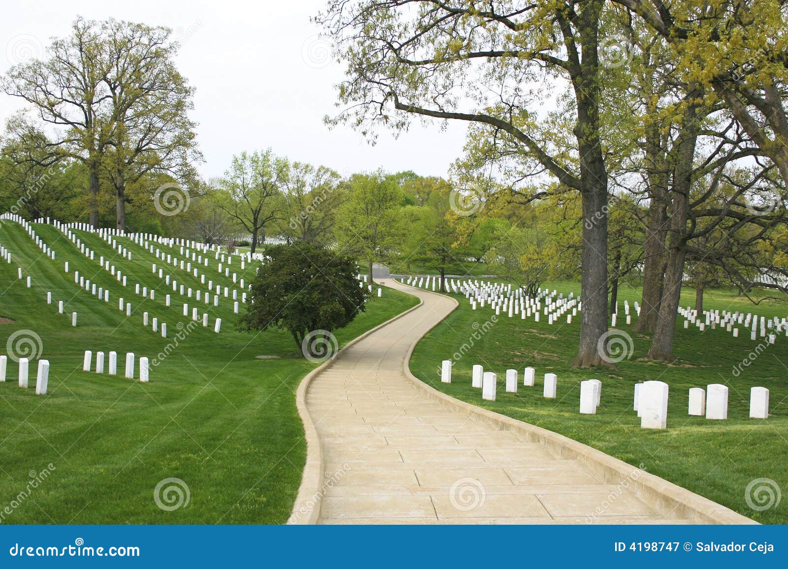 Path Arlington National Cemete Stock Image - Image of grave, sadness ...
