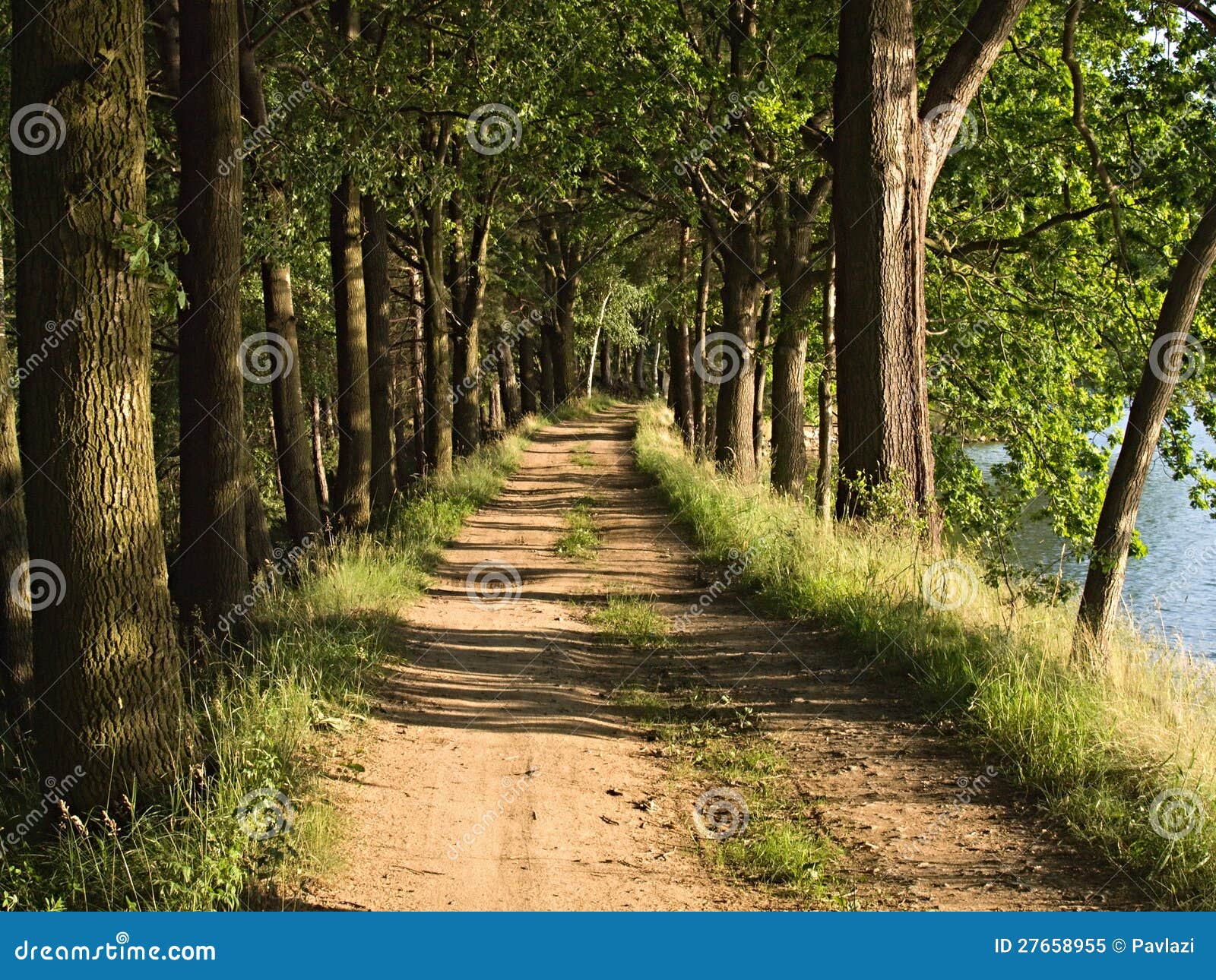 The path around the pond stock image. Image of green - 27658955