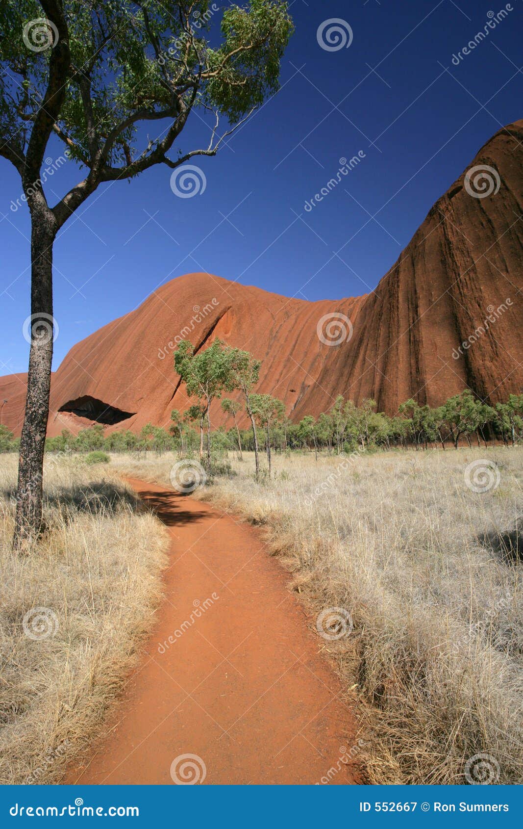 Uluru/Ayers Rock On Horizon With Vegetation In Australia Editorial ...