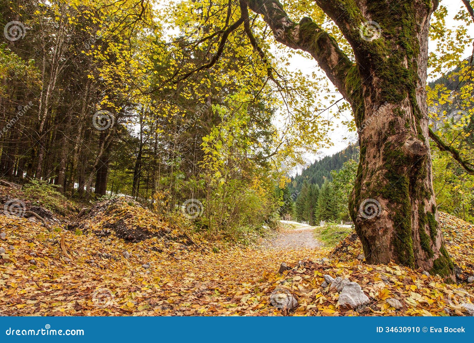 Green Yellow Valey Stock Photos - Free & Royalty-Free Stock Photos from ...