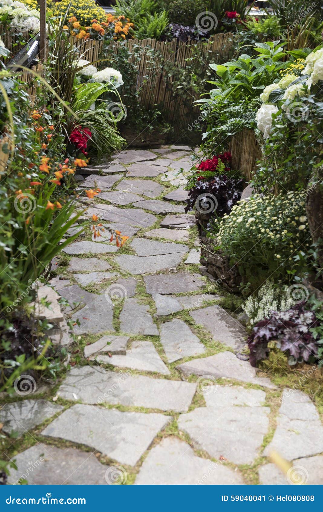Path with autumn flowers stock image. Image of fall, blossoms - 59040041