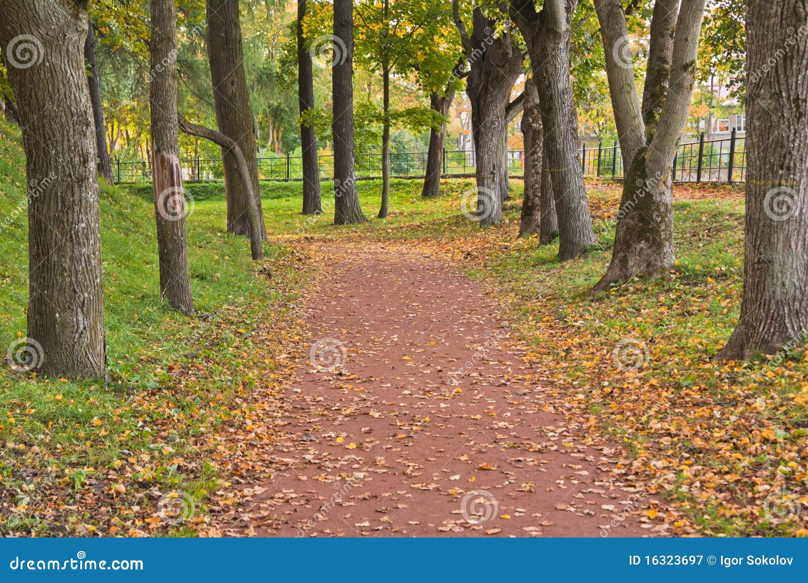 Path in autumn park stock image. Image of natural, foliage - 16323697