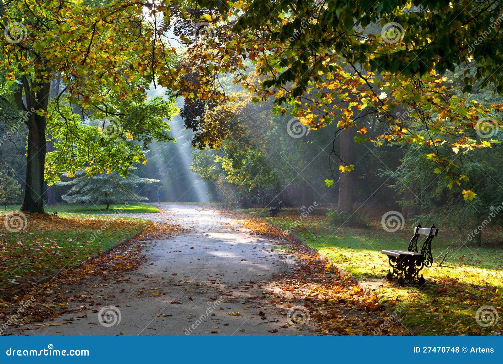 Path in the Autumn Park. Sunlight. Walking Stock Photo - Image of ...