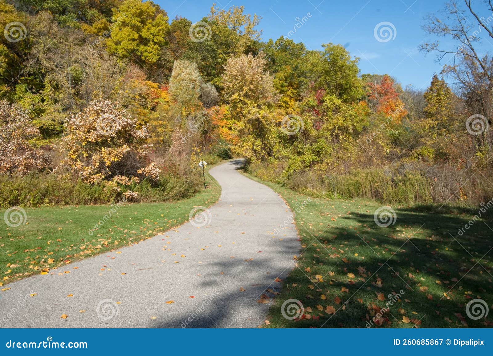 A Path in Autumn Season with Autumn Trees Stock Image - Image of light ...