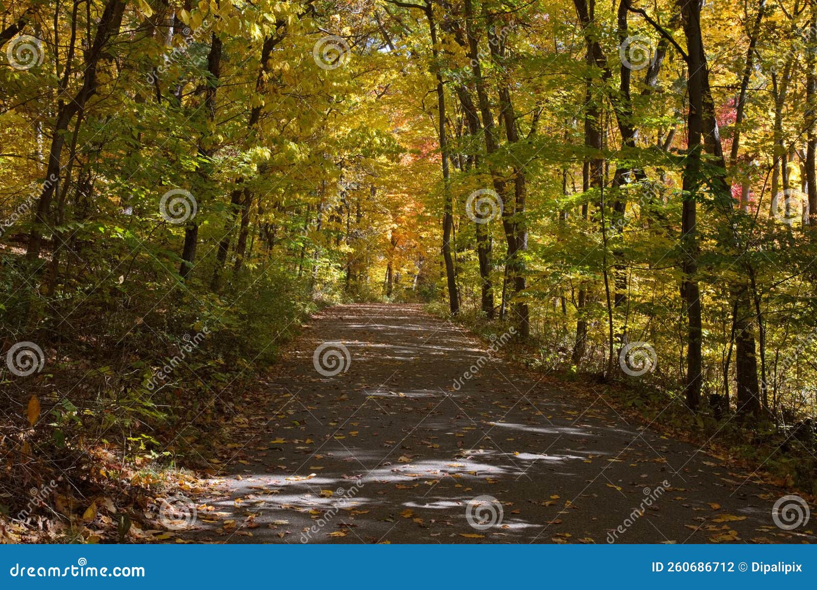 A Path in Autumn Season with Autumn Trees Stock Photo - Image of ...