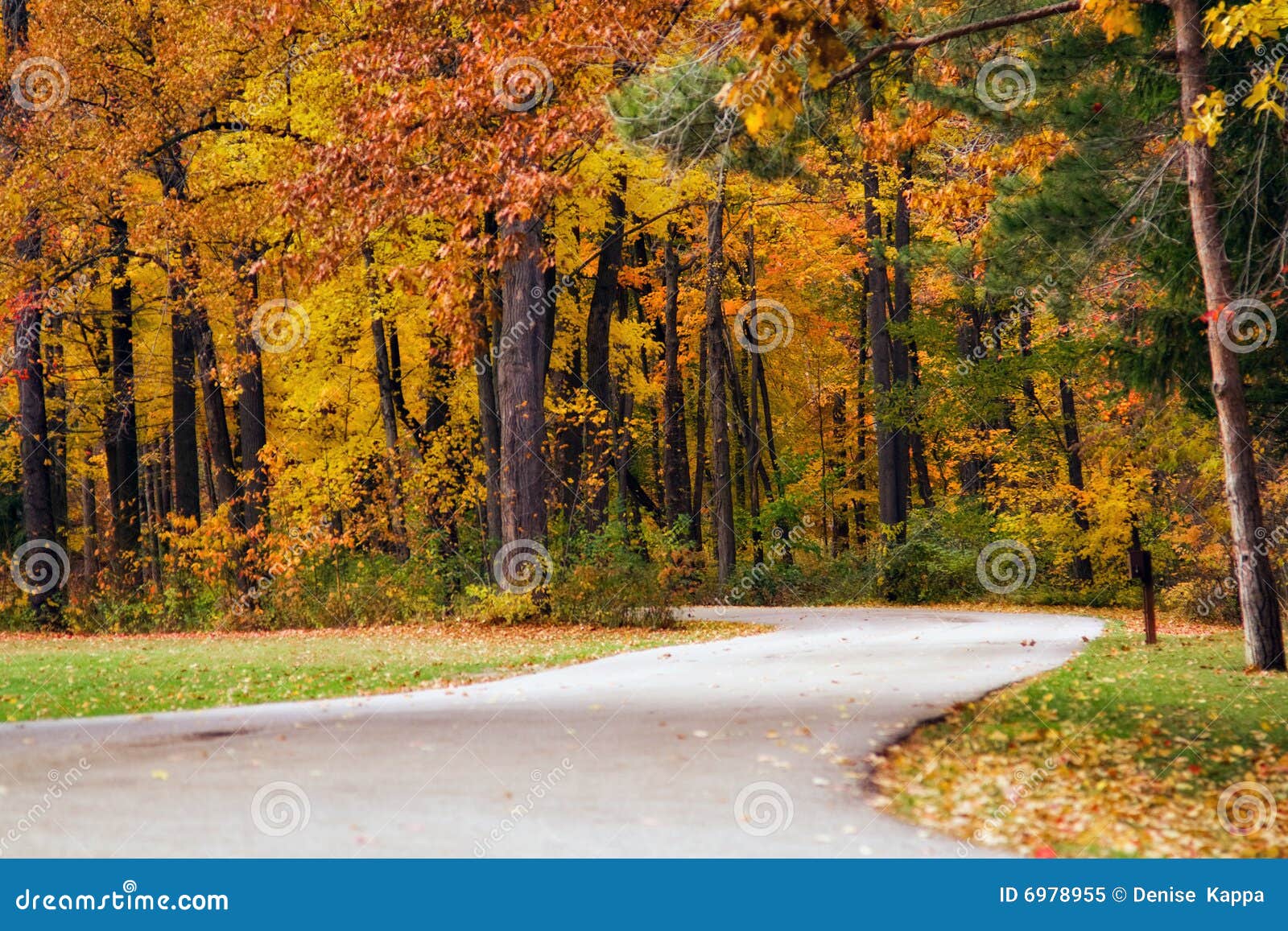 Path Autumn Woods stock image. Image of walk, fall, path - 6978955