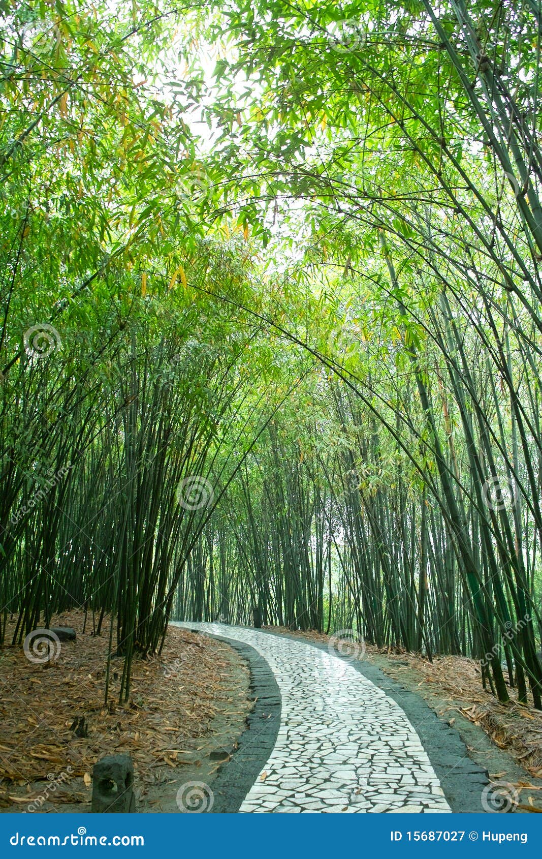 Bamboo Forest Path Chikurin-no-Komichi. A Famous Tourist Spot In ...